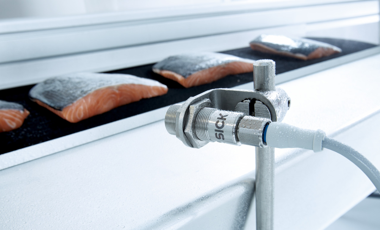 PVC Cables or PUR Cables? How to Choose the Right One with SICK